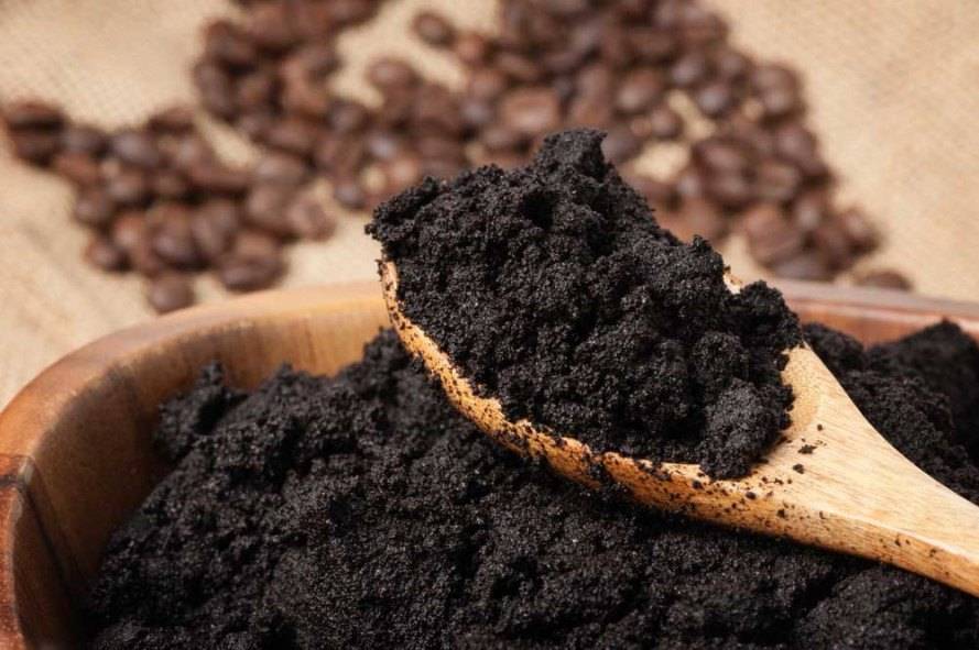 8 Manfaat Ampas Kopi Untuk Tanaman Hias