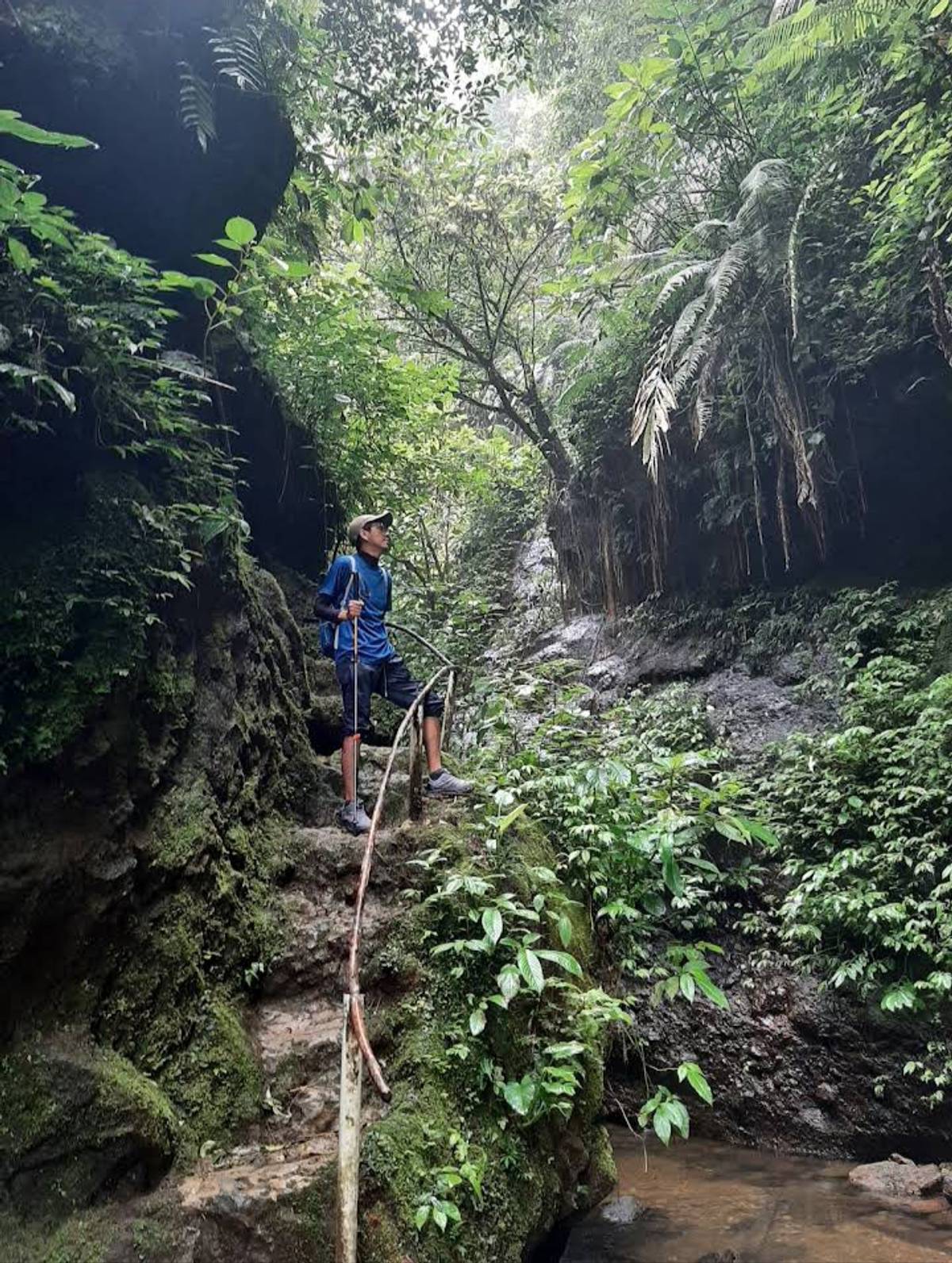 Wisata Curug Walet Pamijahan: Lokasi, Jam Buka, dan HTM Wisata Curug Walet Pamijahan: Lokasi, Jam Buka, dan HTM