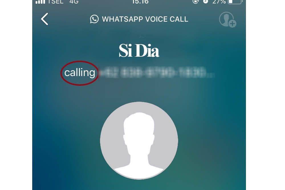 4 Ciri WhatsApp Diblokir Oleh Seseorang | Popbela.com