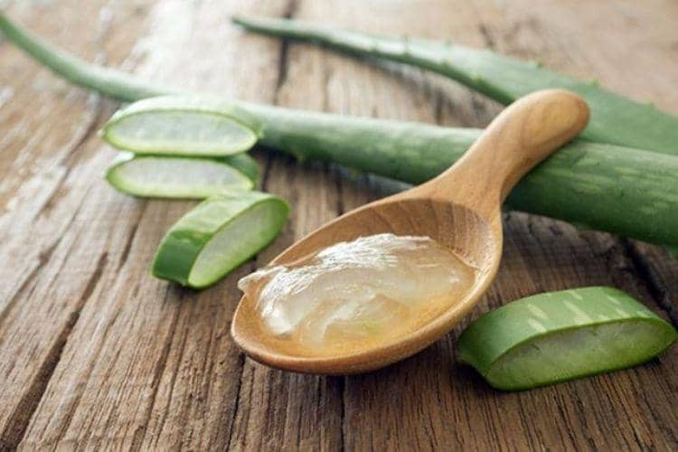 7 Cara Menggunakan Lidah Buaya untuk Wajah yang Benar | Popbela.com
