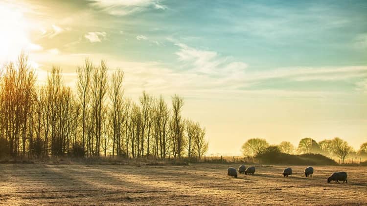 10 Puisi untuk Sahabat Sejati Yang Menyentuh Hati | Popbela.com