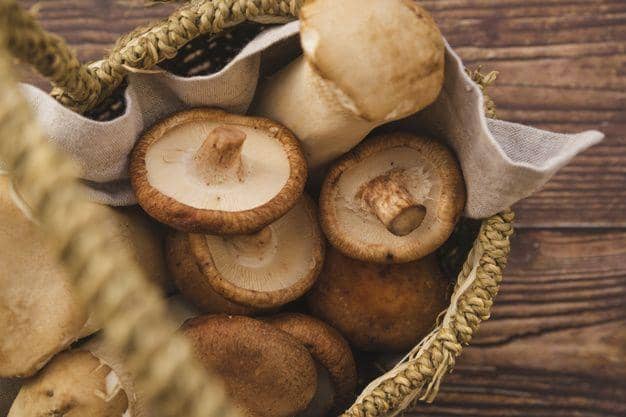 15 Daftar Makanan Paling Mahal di Dunia, Ada Dari Indonesia | Popbela.com
