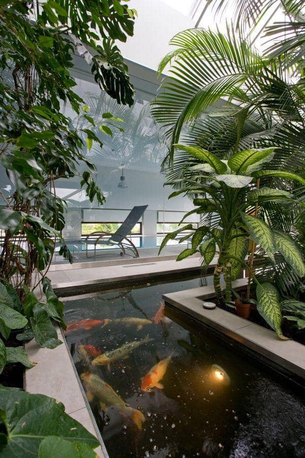 7 Desain Kolam Ikan Koi Minimalis Cantik, Terasa Lebih Asri! | POPBELA.com