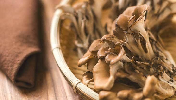 15 Jenis Jamur yang Bisa Dimakan di Indonesia dan Manfaatnya | Popbela.com