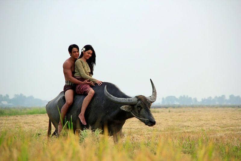 16 Rekomendasi Film Dewasa Thailand Penuh Adegan Erotis | Popbela.com