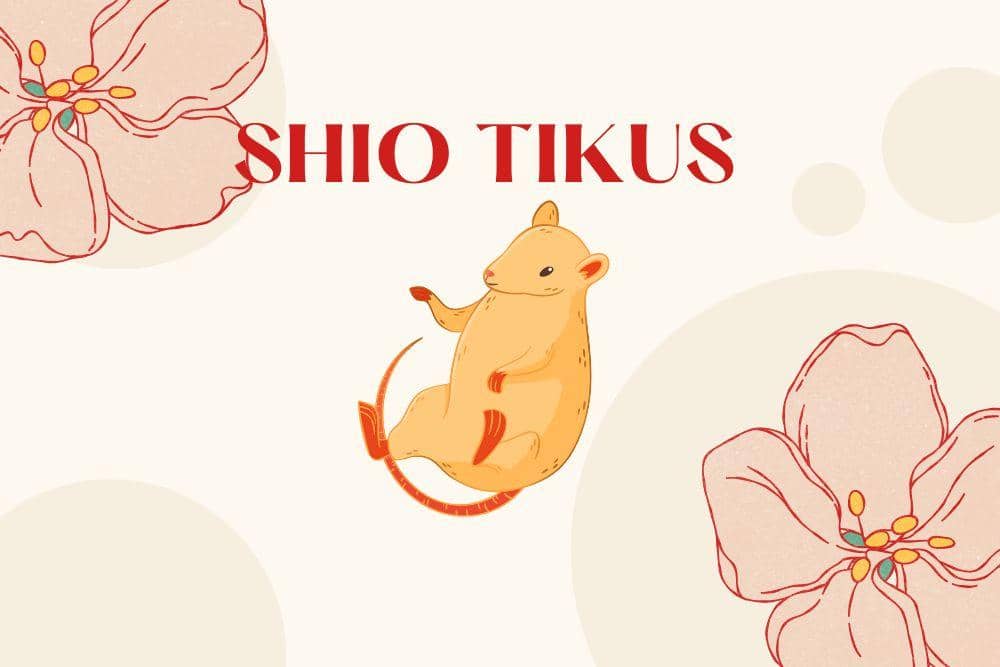 Sifat dan Karakter Shio Tikus, Mudah Bergaul tapi Misterius | Popbela.com