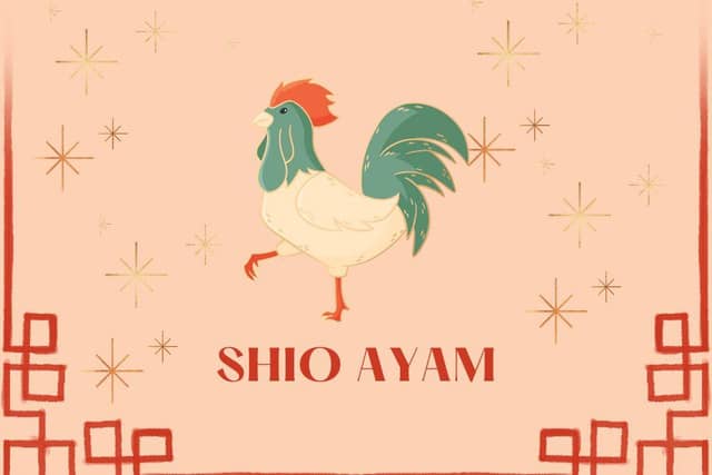 Sifat dan Karakter Shio Ayam, Kompetitif dan Energetik | Popbela.com