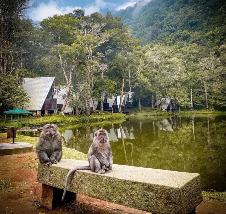 Telaga Warna Puncak: Lokasi, Daya Tarik, dan Fasilitasnya | Popbela.com