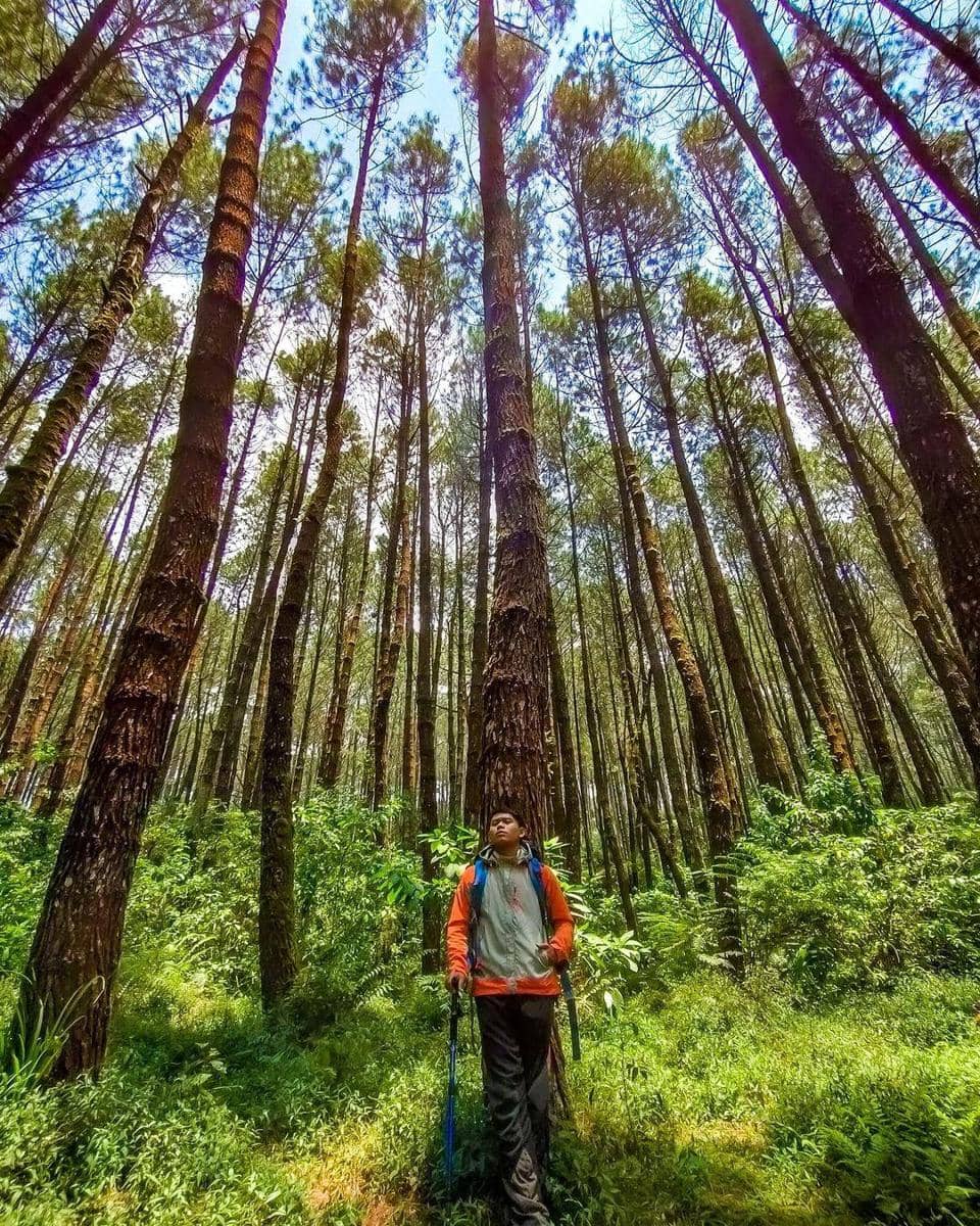 Wisata Gunung Burangrang, Lokasi, Rute, dan HTM | Popbela.com
