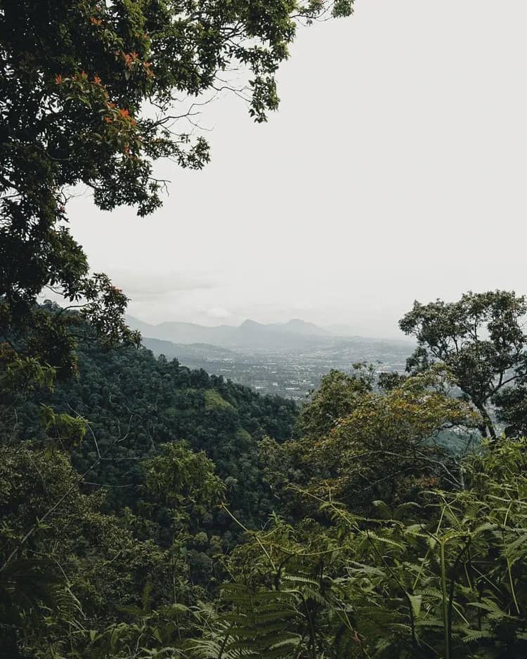 Wisata Gunung Burangrang, Lokasi, Rute, dan HTM | Popbela.com