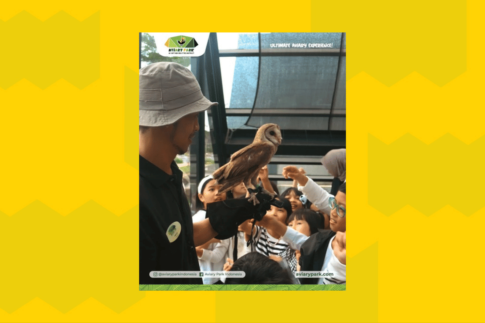 Aviary Park Bintaro: Harga Tiket, Fasilitas, & Rute | POPBELA.com