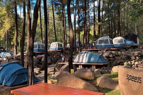 Wisata Jolotundo Nganjuk: Lokasi, Harga Tiket, dan Jam Buka | Popbela.com