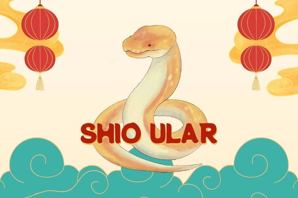 Sifat dan Karakter Shio Ular, Si Introvert yang Bijaksana | Popbela.com