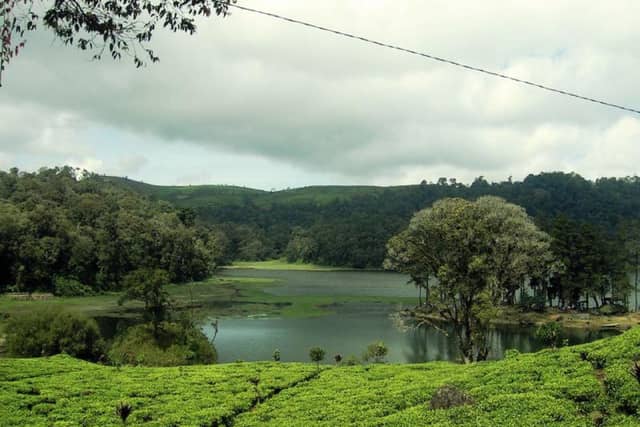 10 Tempat Wisata di Ciwidey yang Lagi Hits dan Terkenal | Popbela.com