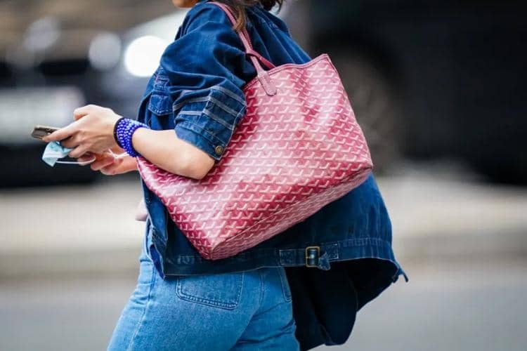 5 Alasan Harga Tas Goyard Ori Mahal | Popbela.com