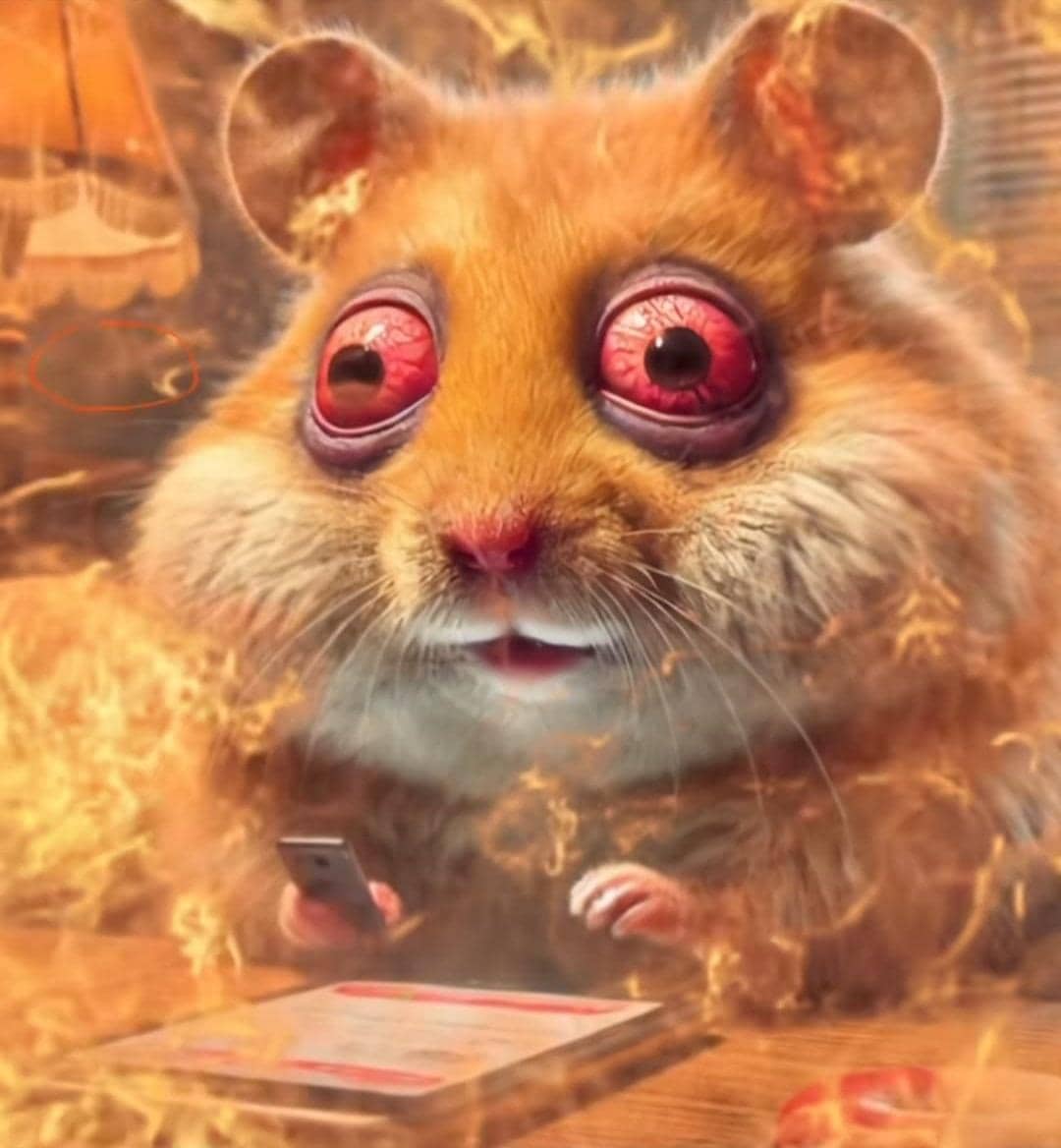 Anomali Brainrot Viral Asal Indonesia | POPBELA.com