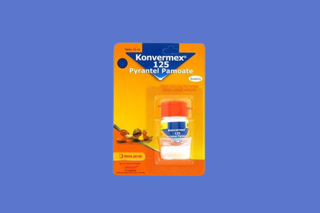 5 Rekomendasi Obat Cacing yang Cocok untuk Orang Dewasa dan Anak ...