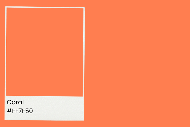 Macam-Macam Warna Orange dan Kodenya untuk Fashion | Popbela.com