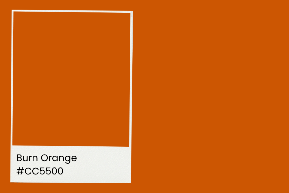 Macam-Macam Warna Orange dan Kodenya untuk Fashion | Popbela.com