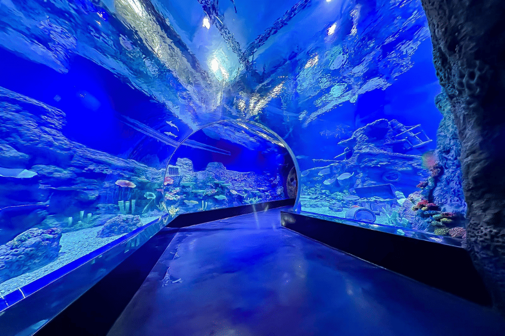 Wisata Indonesia untuk Aquarium Date Terbaik | Popbela.com