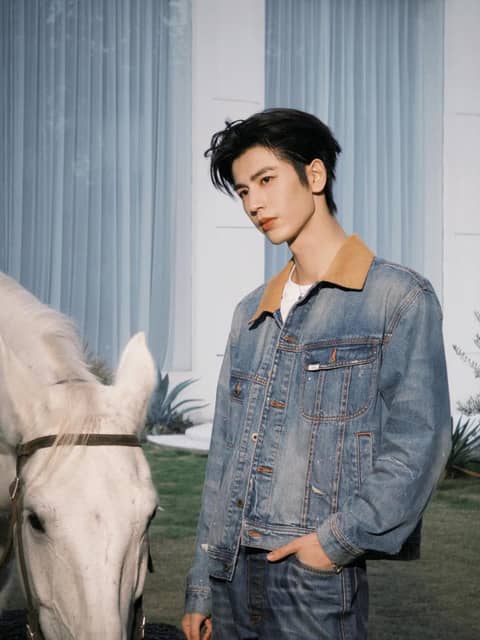 Profil dan Biodata Zhang Ling He, Aktor China Pemeran Pursuit of Jade ...