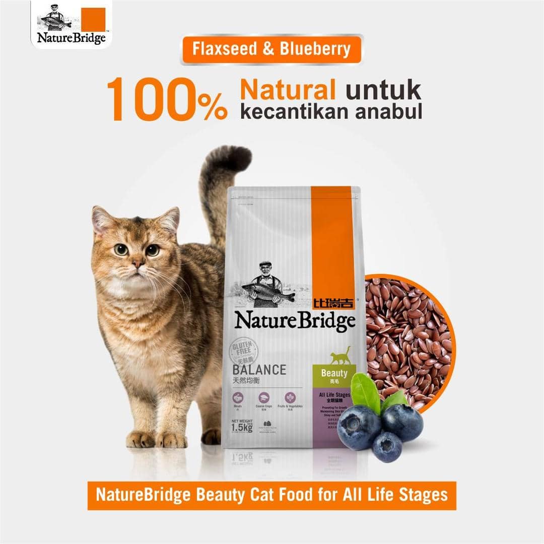 Rekomendasi Makanan Kucing yang Bagus dan Kaya Nutrisi | Popbela.com